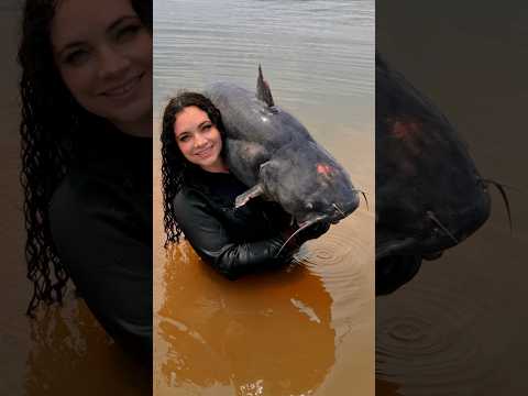 NOODLING 50lbs BLUE CATFISH