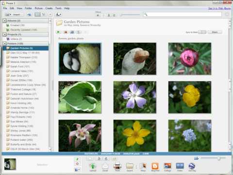 Google Picasa Tutorial - Saving and editing pictures