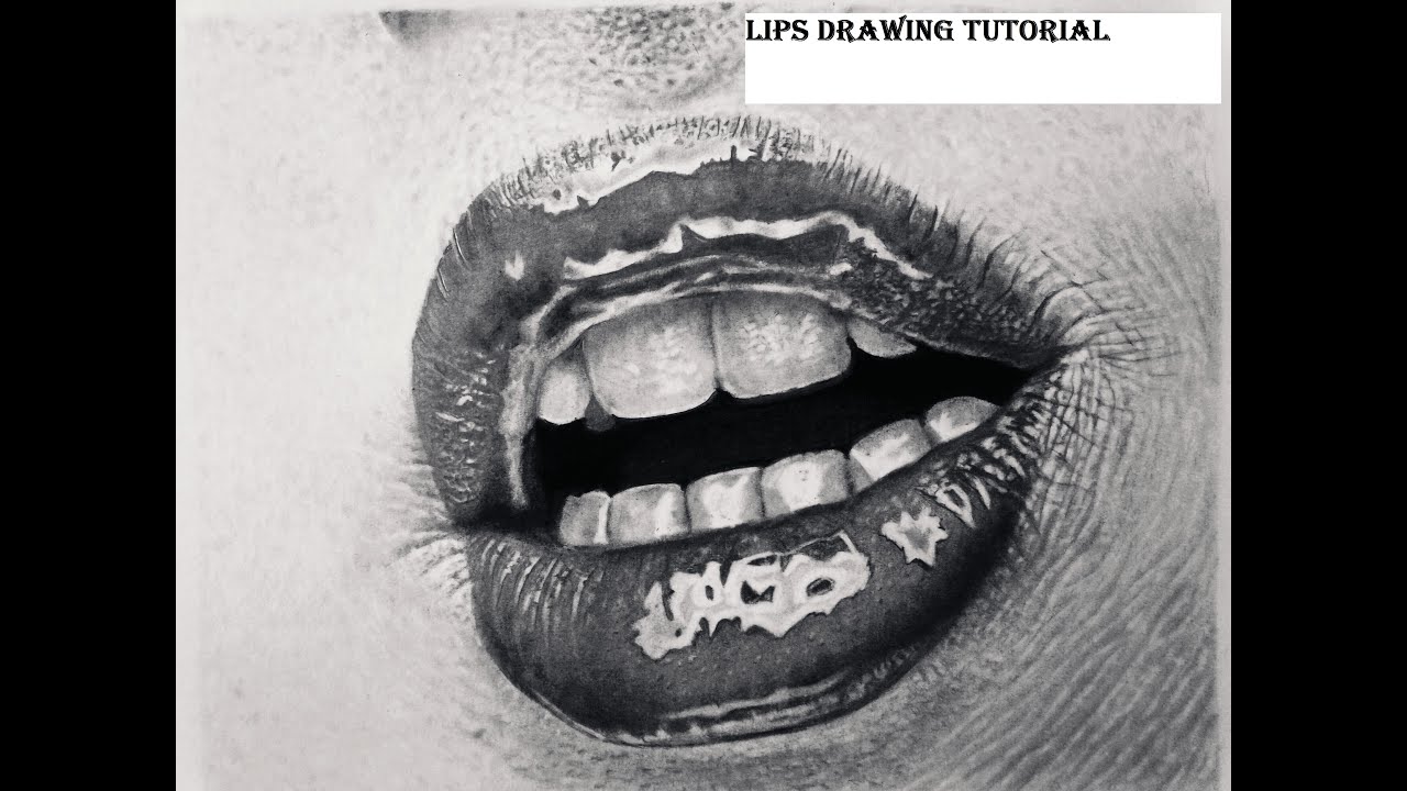 How to draw realistic lip | step by step tutorial for beginner