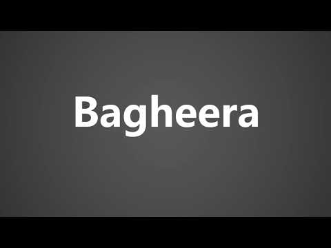 How To Pronounce Bagheera