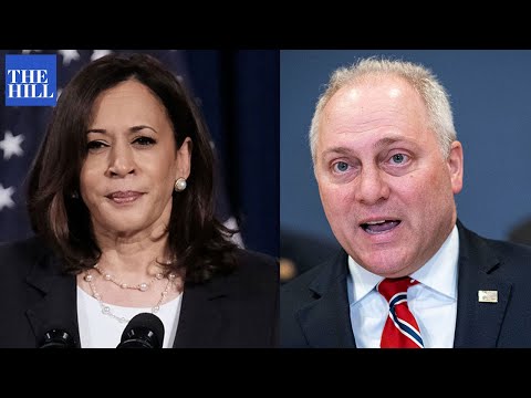 Steve Scalise ROASTS Kamala Harris for not visiting the southern border