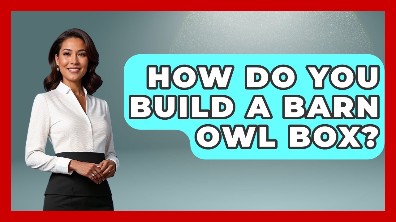 How Do You Build A Barn Owl Box? - Bird Watching Diaries