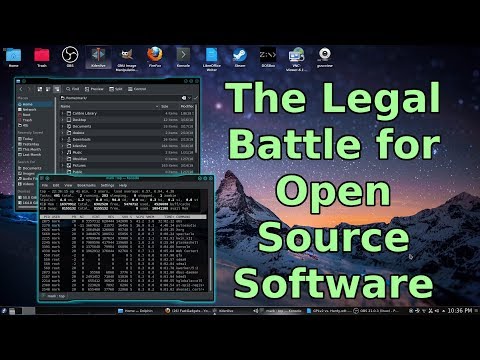 GPL vs. McHardy: How One Developer can Damage the Concept of Free Software and the GPL