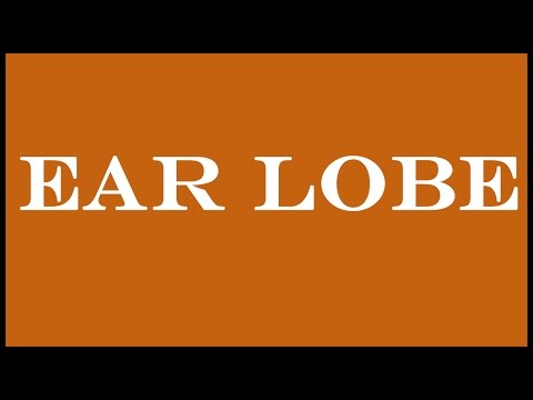 Ear Lobe Word Meaning With Example