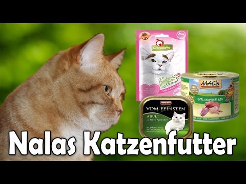 Nalas Katzenfutter! | Was verfüttere ich an meine Katze?
