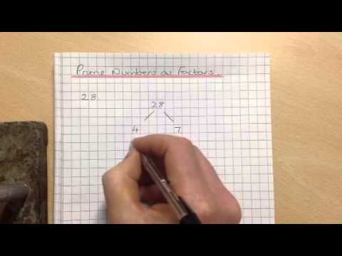 Express a Number (28) as a Product of Prime Factors (Tree M