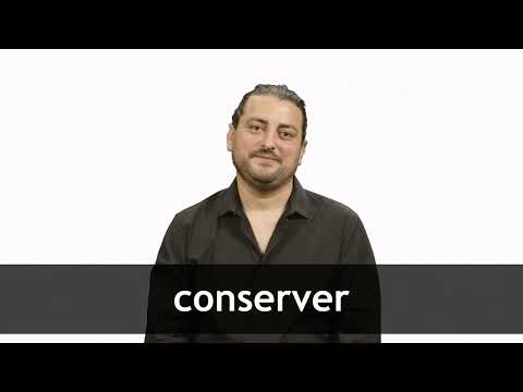 English Translation of “CONSERVER” | Collins French-English Dictionary