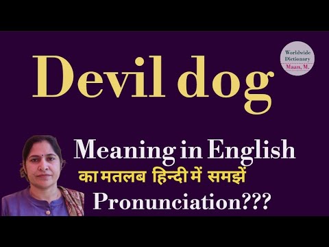 devil dog meaning l meaning of devil dog l devil dog ka hindi mein kya matlab hota hai l vocabulary