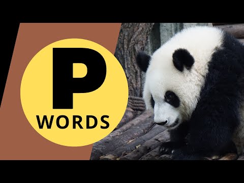 Words That Begin With P Sound - Learn Words That Begin With P