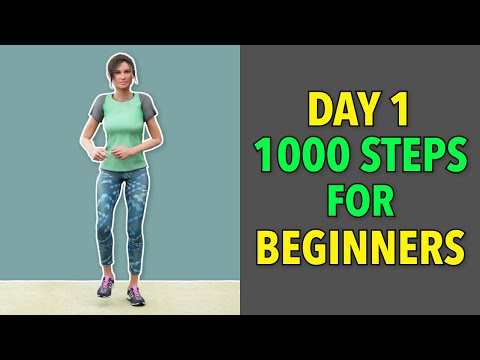 Day 1 of 3: 1000 Steps For Absolute Beginners
