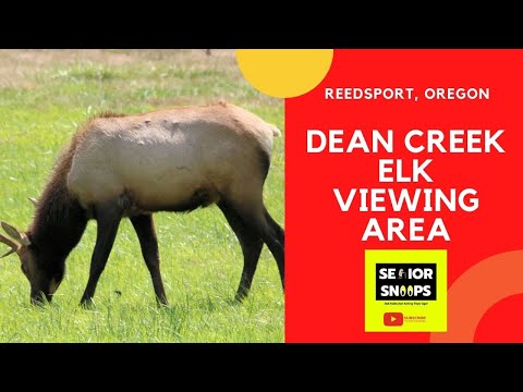 Dean Creek Elk Viewing Area