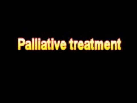 What Is The Definition Of Palliative treatment Medical School Terminology Dictionary