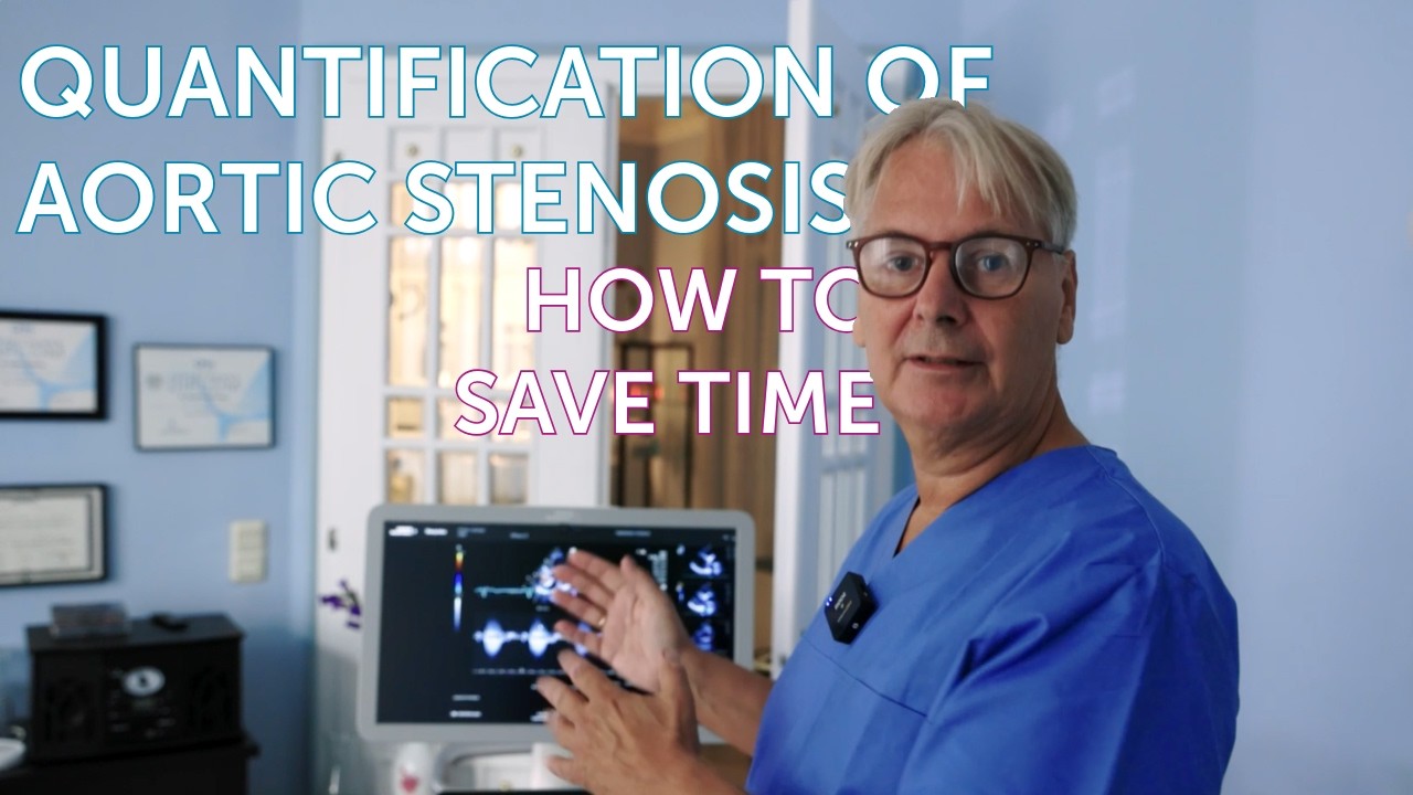 Quantification of Aortic Stenosis: How to save time!