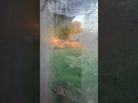#262 - HELP! Attempting tint-adhesive removal from Lexan window