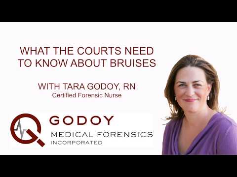 What the Courts NEED TO KNOW about BRUISES