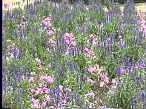 Three week vacation in England, 1995