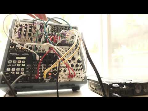 Wasted Afternoon - Eurorack Ambient with Disting EX, Hermod, Rings, Clouds, Beads