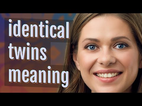 Identical twins | meaning of Identical twins