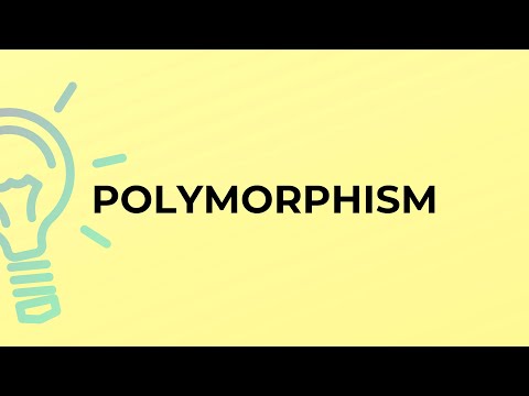 What is the meaning of the word POLYMORPHISM?