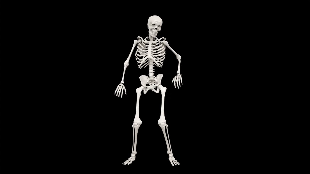 dancing skeleton meme but in hd
