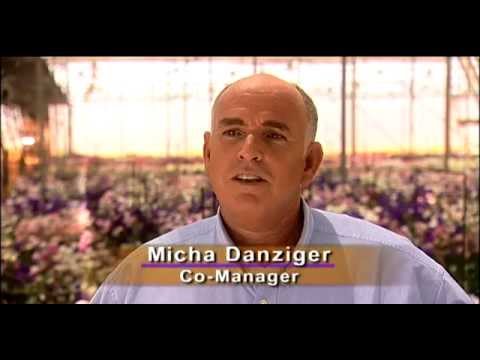 Danziger Dan Flower Farm - Israeli Startup | Startup Nation Finder