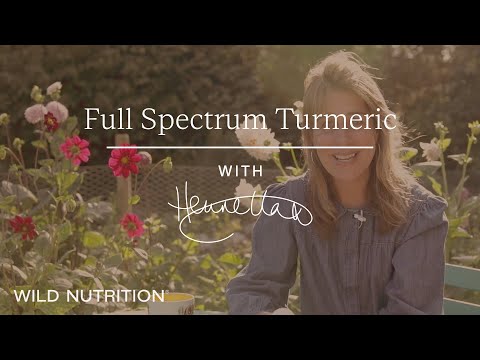 Turmaforte Full Spectrum Turmeric | A uniquely well rounded form of Turmeric