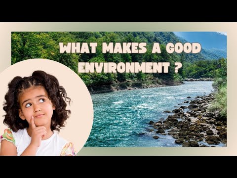 Environmental Quality - for grade (basic) 5