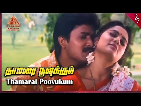 Thamarai Poovukkum - Pasumpon; தாமரைப் பூவுக்கும்; #leo #tamilhitsongs #love #pasumpon #vidyasagar
