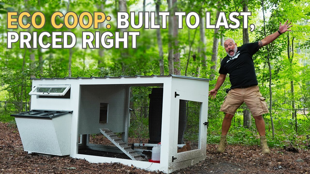 Tiny Affordable Chicken Coop!