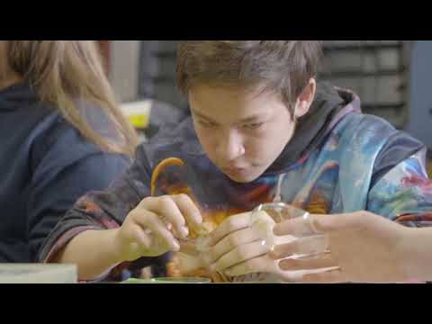 Three-Dimensional Learning