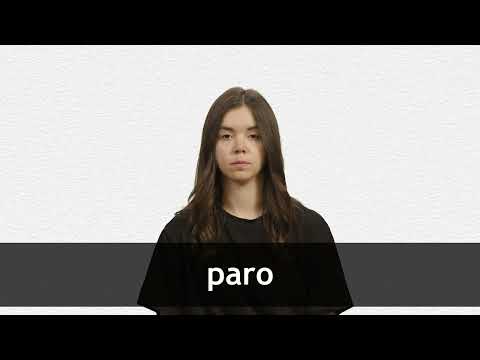 English Translation of “PARO” | Collins Spanish-English Dictionary
