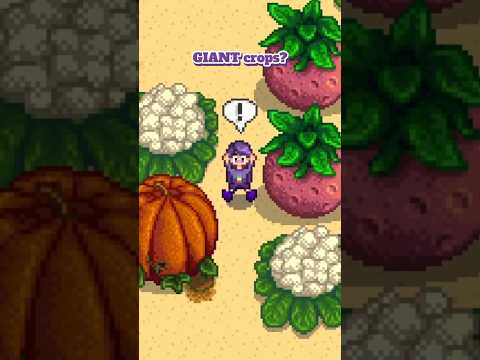 Grow Giant Crops On Your Farm in Stardew Valley! #stardew