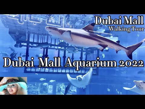 [4K] Dubai Mall The World’s Largest Shopping Mall  || Dubai Mall Aquarium || Walking Tour ||