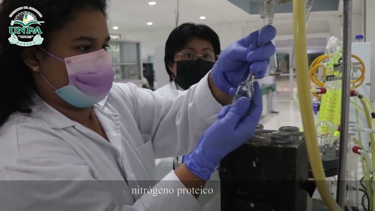 Análisis químico proximal - Taller de alimentos