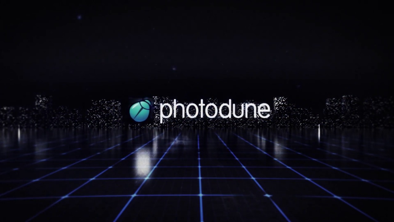 Digital Wire Ribbon Logo Reveals