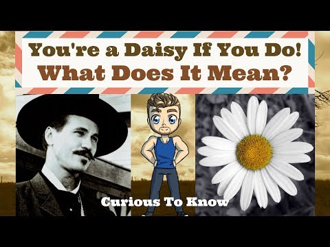 You're a Daisy If You Do Meaning / Curious To Know