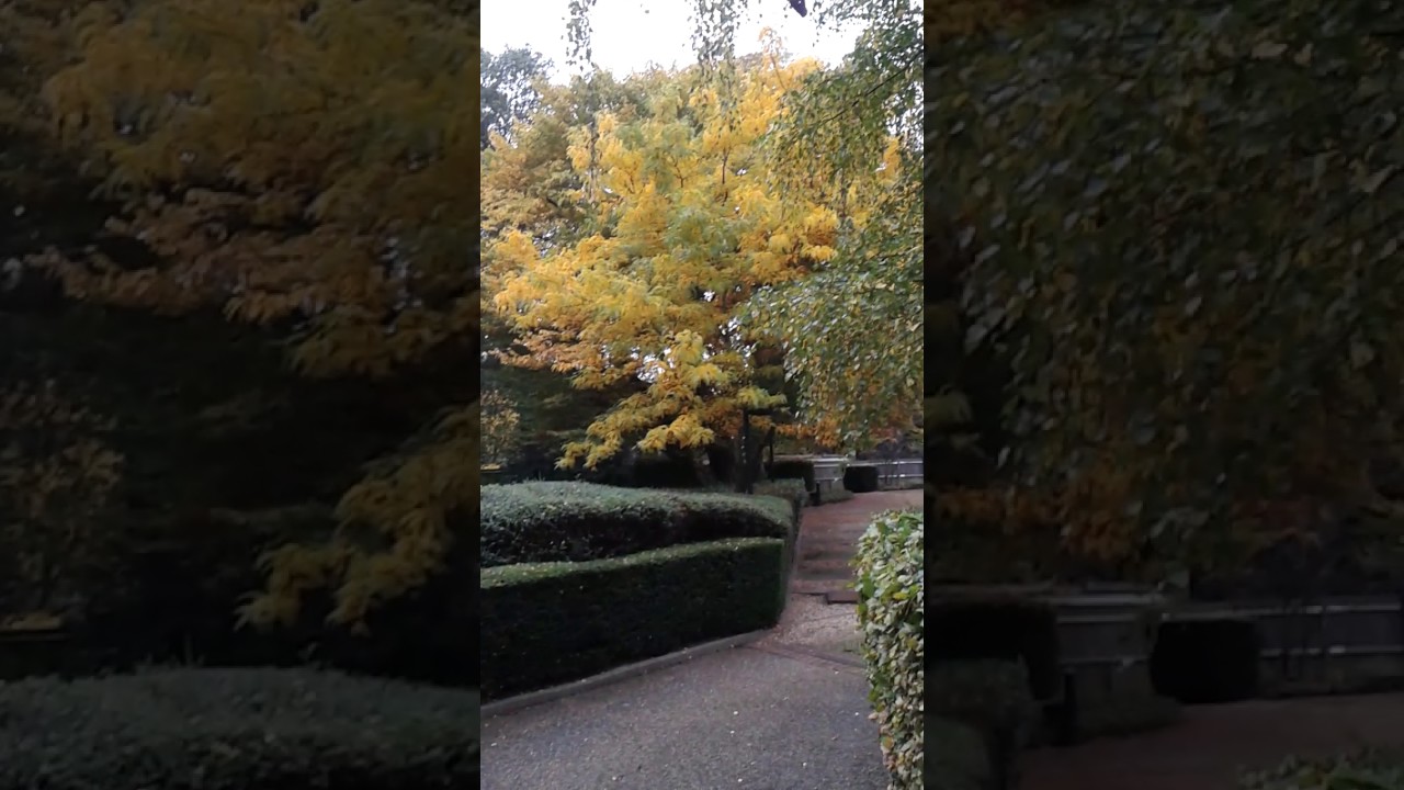 20161029 1352271