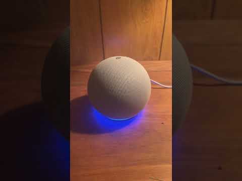 Making Alexa Sassy #alexatips #alexa