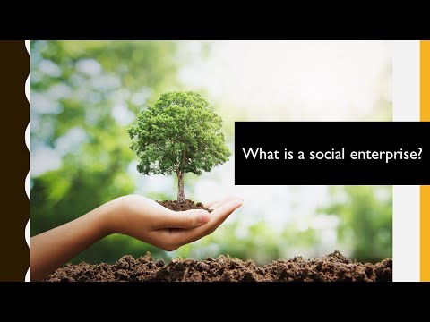 CAMBRIDGE BUSINESS STUDIES AS & A LEVEL: Enterprise 1.12 Social Enterprises