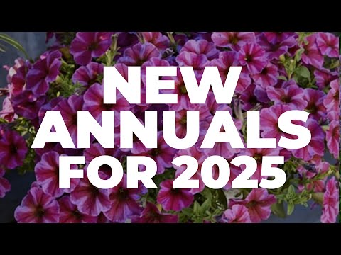 🌺 New Annuals For 2025 🌿