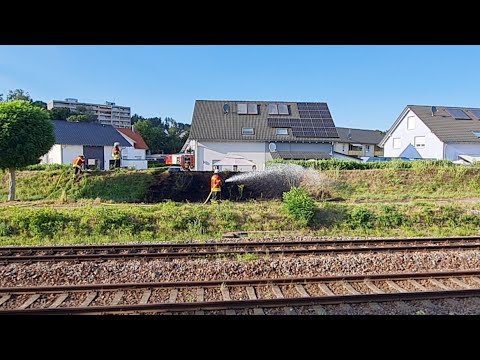 🔥🚒 Feuerteufel? Zuerst brennt es in Bad Säckingen und jetzt in Laufenburg! Livebericht [04.08.2022]
