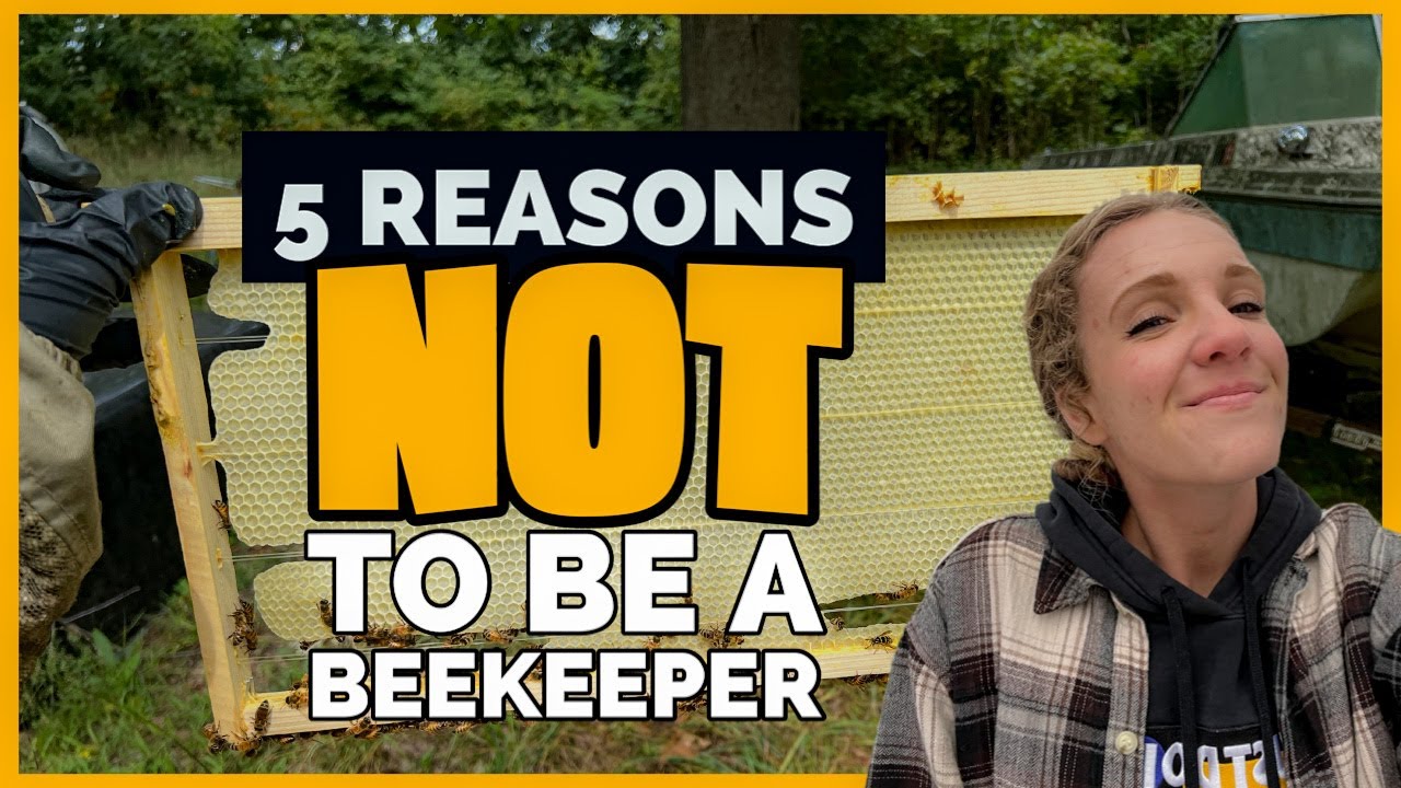 WATCH THIS Before You Start Beekeeping! / Beekeeping 101 #beekeeping