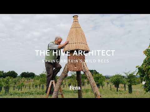 The Hive Architect | Saving Britain's Wild Bees
