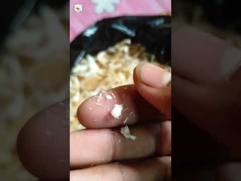 How to feed my aquarium shrimp 🍤🍤😋 #aquariumfish #aquariumplant #aquariumshrimp#shrimp #hindi