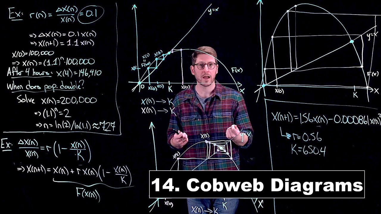 Cobweb Diagrams - Math Modelling | Lecture 14