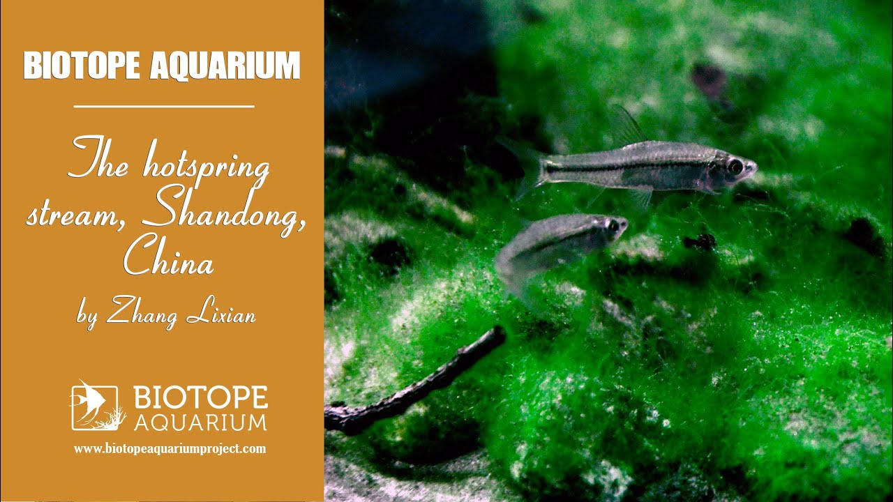 Jinan hot spring stream, Shandong, China - BAP