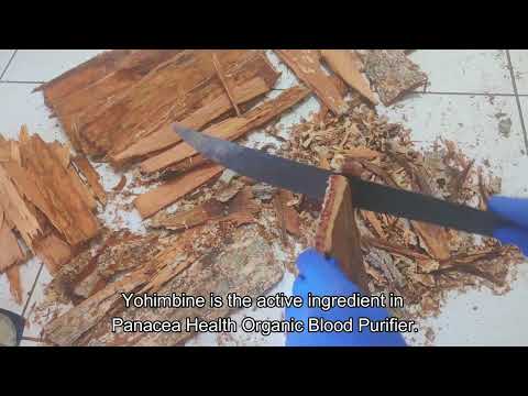 Cleaning Bois Bande bark to extract Yohimbine