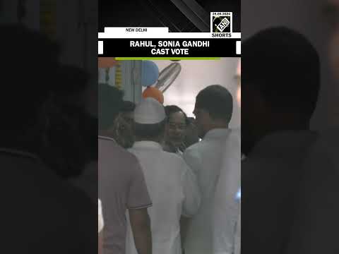 Lok Sabha Elections 2024: Rahul, Sonia Gandhi cast vote at a polling booth in Delhi