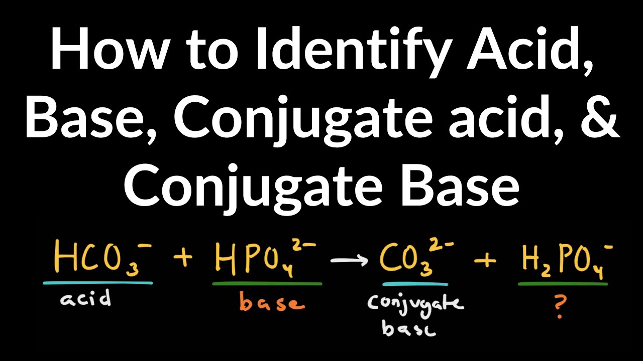 How to Identify Acid, Base, Conjugate Acid, and Conjugate Base Examples and Practice Problems
