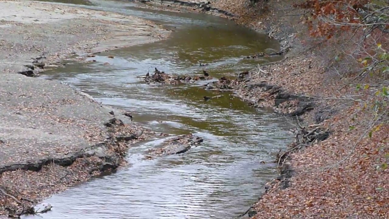 River Flow Through Meanders, Riffles, and Pools